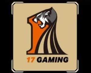 17戰隊:17戰隊是一支由鬥魚[彈幕式直播分享網站]主播17shou所組 -百科知識中文網